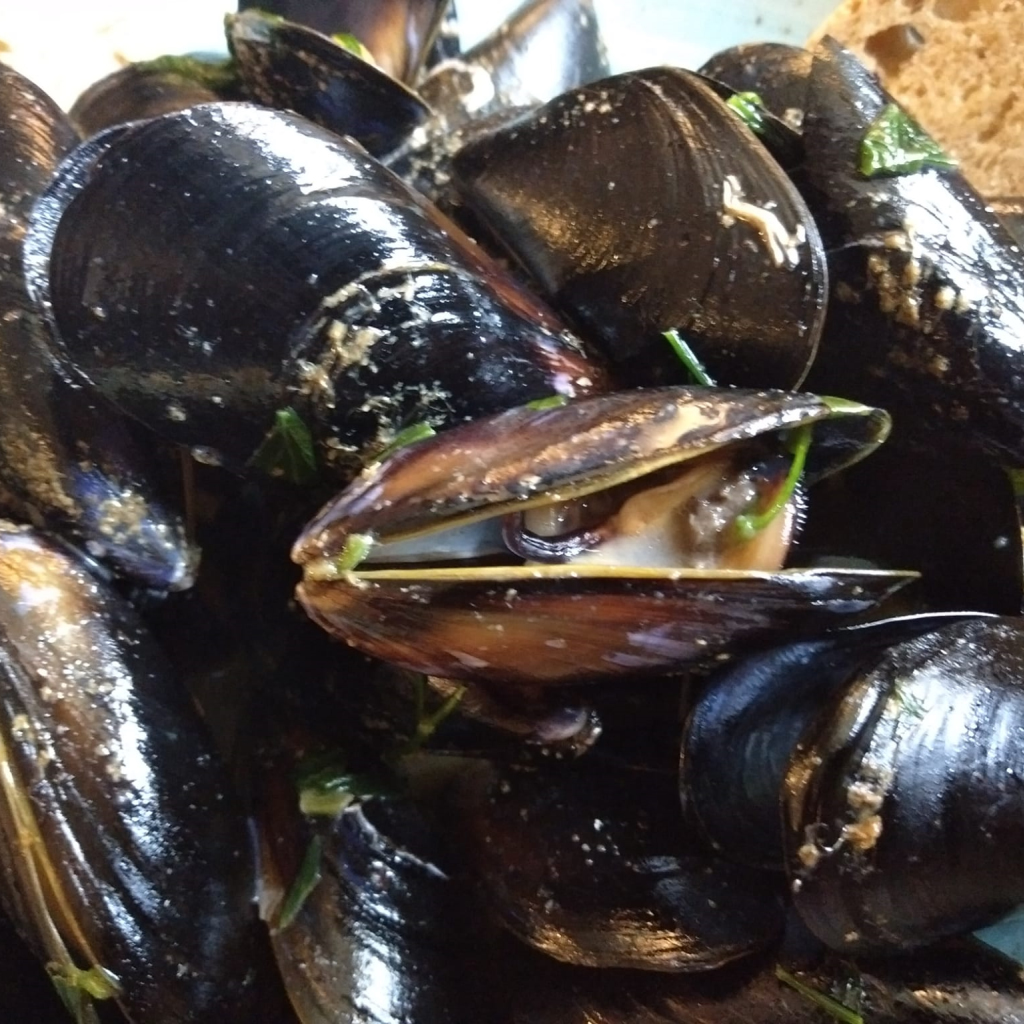 FRENESIA DELL’ ESTATE? PRENDETE A MODELLO IL COMPORTAMENTO VIRTUOSO ...